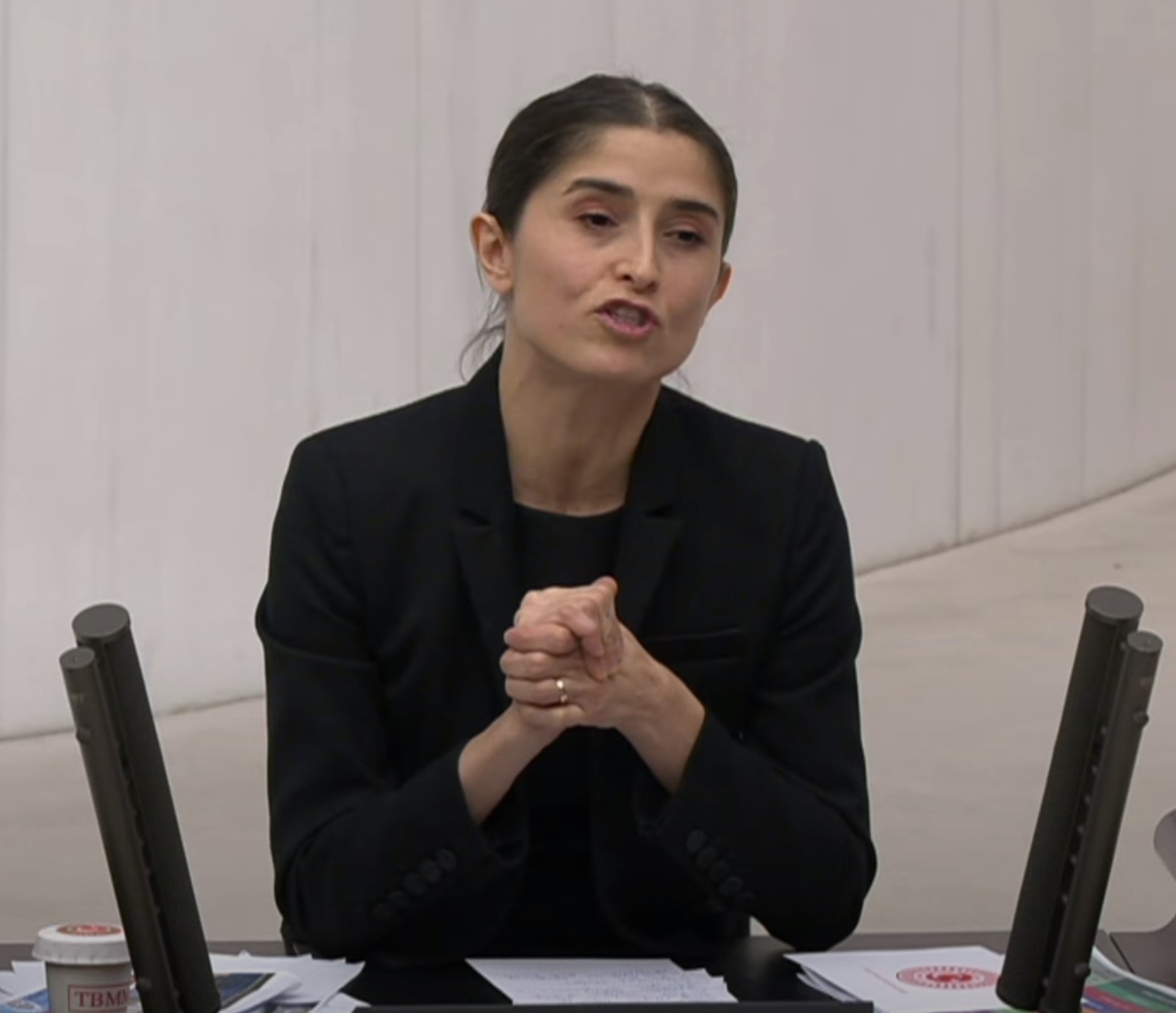 Turkey’s pro-Kurdish party opposed Sweden’s NATO membership, voted ...