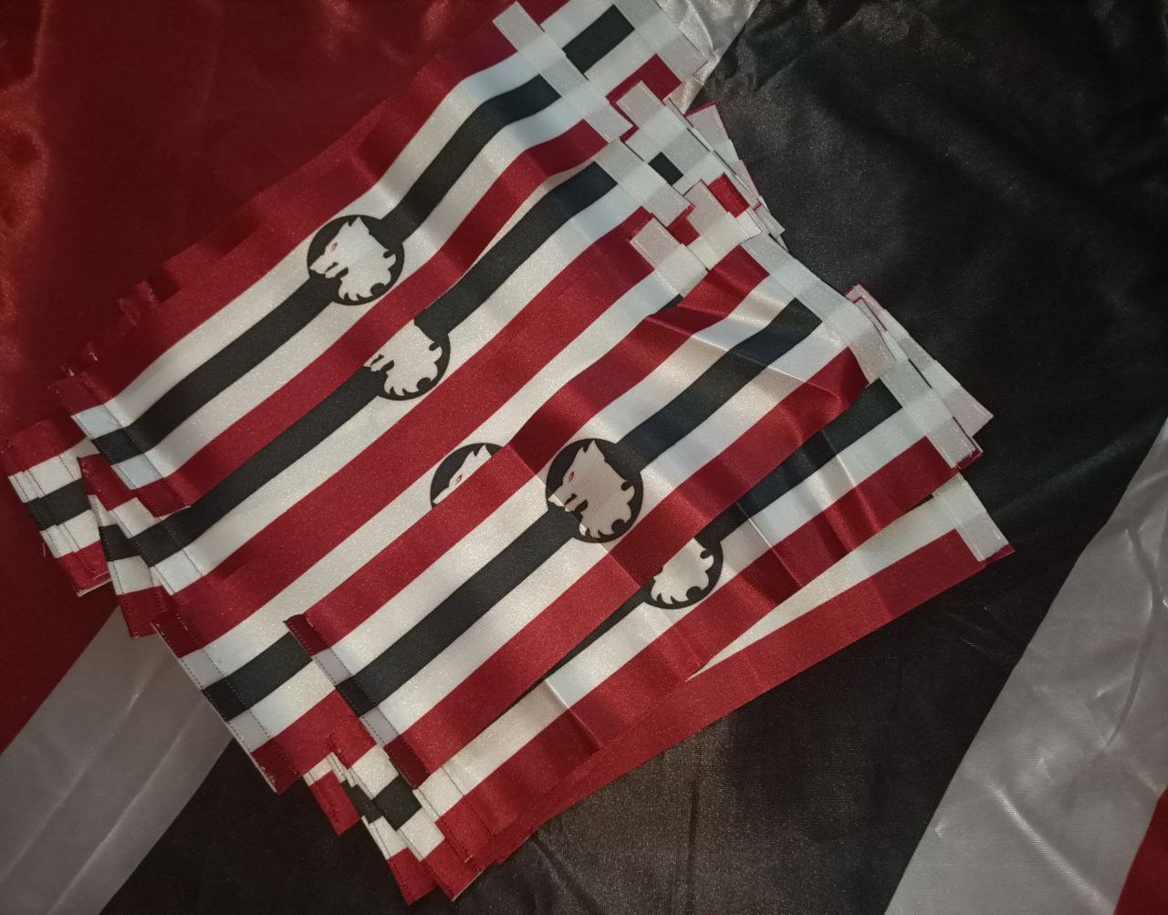 Unmasking the intelligence-linked neo-Nazi group National Front in ...